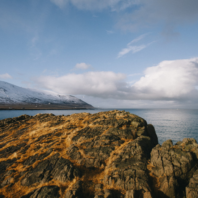 Welcome to East Iceland